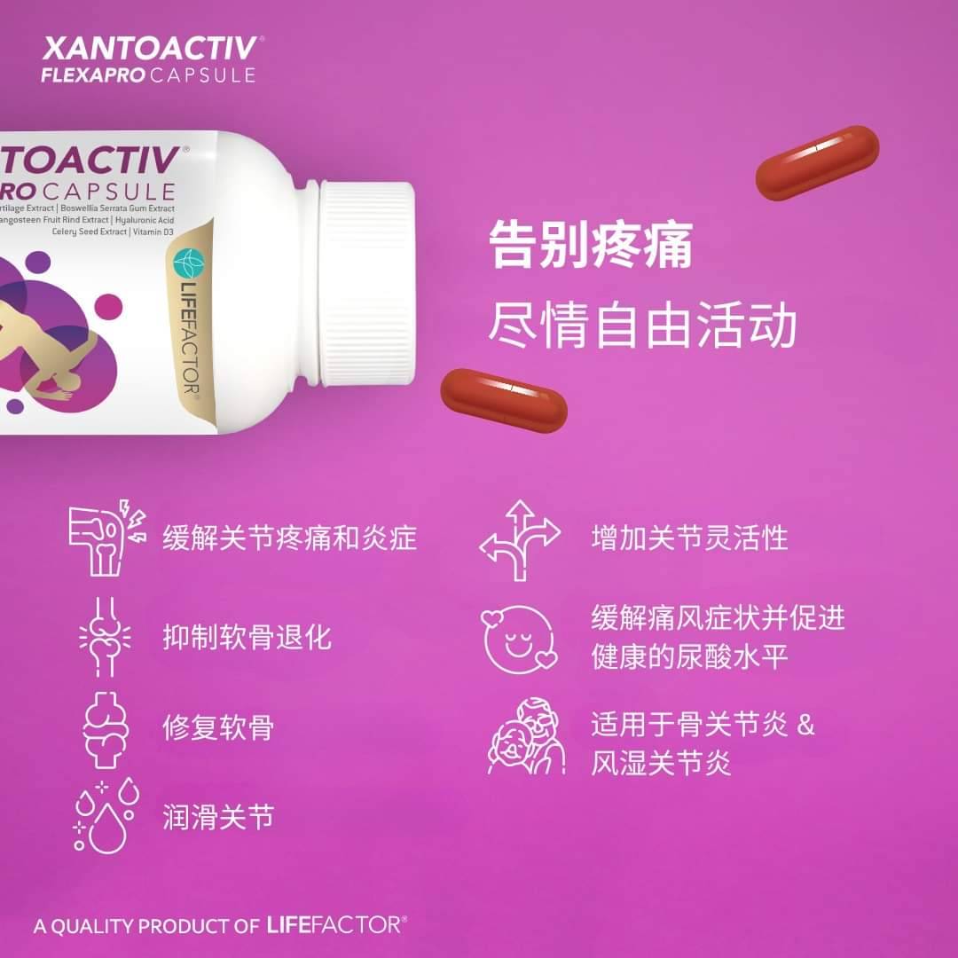 Life Factor Xantoactiv Flexapro 60 Caps - Scientifically Supported ...