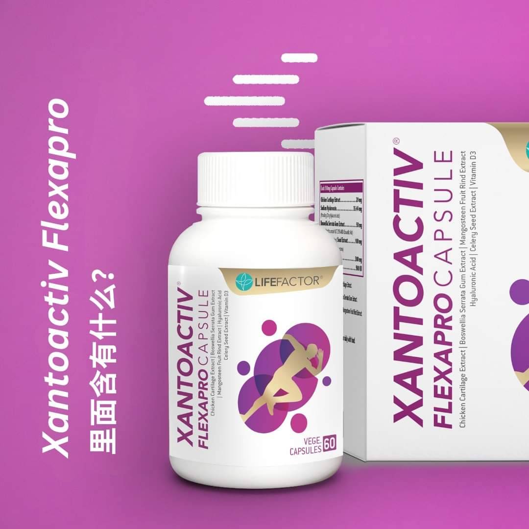Life Factor Xantoactiv Flexapro 60 Caps - Scientifically Supported ...